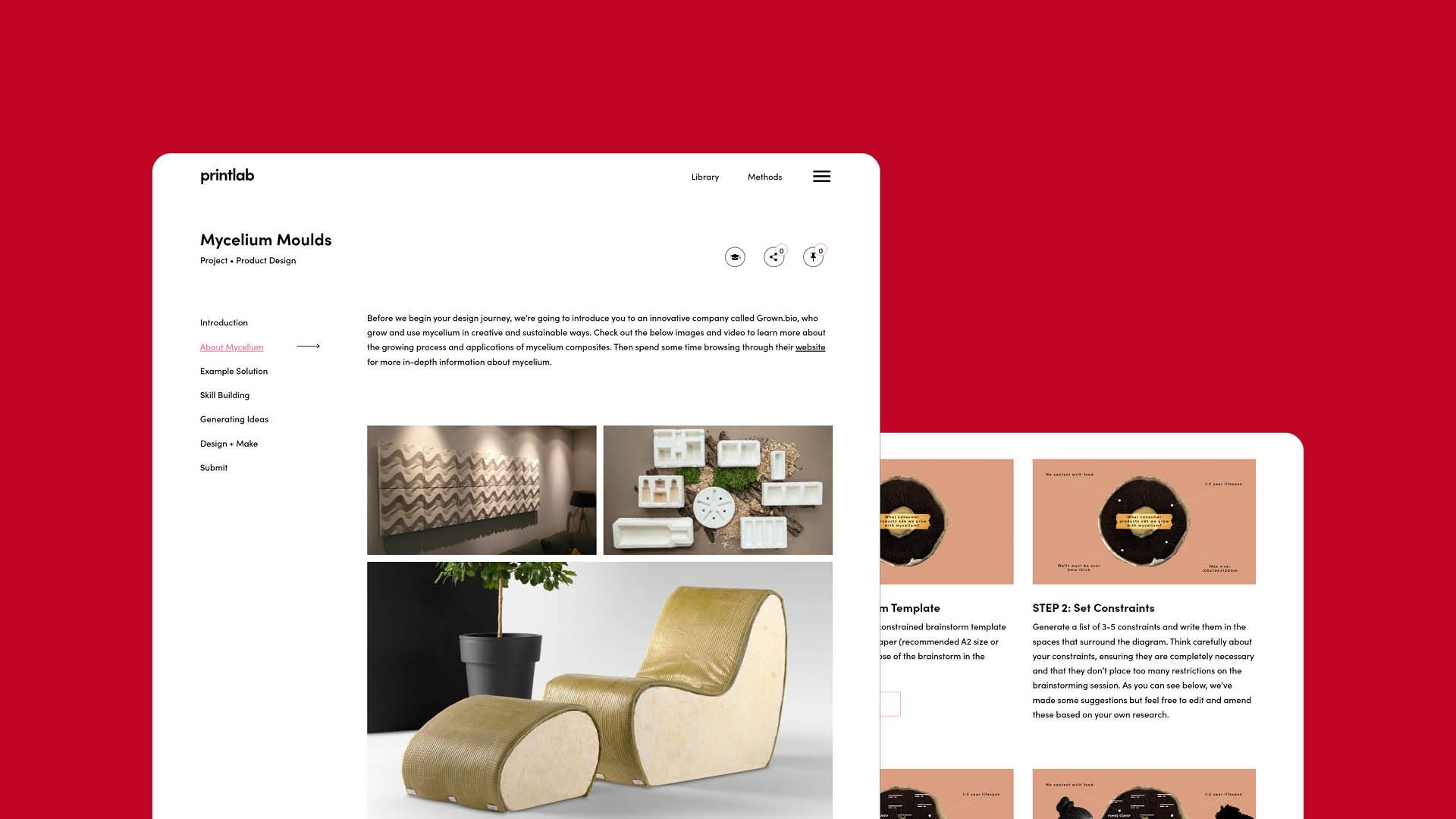 Mycelium Moulds 3D Printing Project | PrintLab