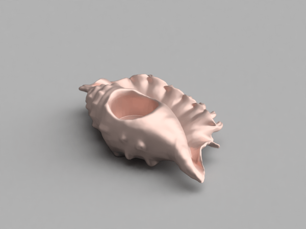 PrintLab's 3D Scan of the Week 1 – Sea Shell