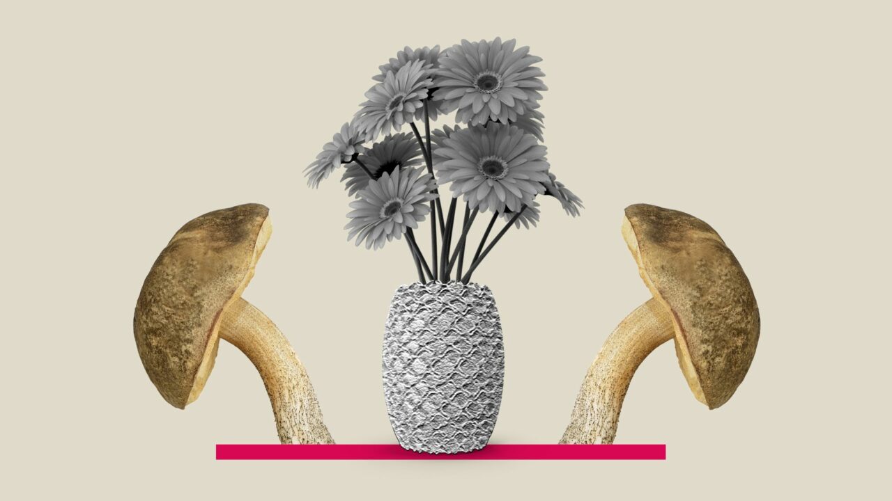 Solving Real-World Problems with 3D Printing